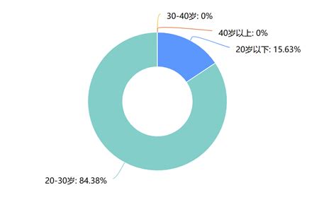 团队项目 选题和需求分析 csdn博客
