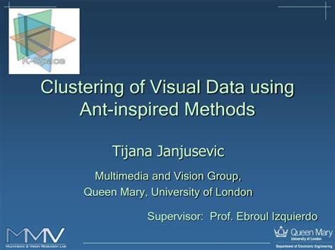 Ppt Clustering Of Visual Data Using Ant Inspired Methods Powerpoint Presentation Id3429719
