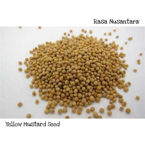 Jual Yellow Mustard Seed 500gram Biji Sawi Kuning Di Seller Rempah