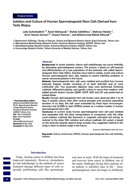 Pdf Isolation And Culture Of Human Spermatogonial Stem Cells Derived