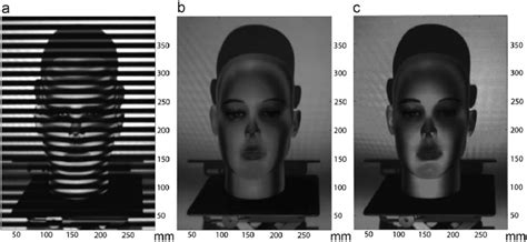 A Moiré Fringes Obtained On A Mannequin Head Without Grid