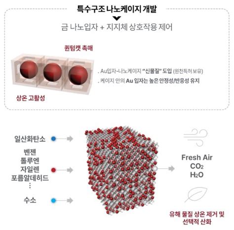 ‘꿈의 촉매 만든 카이스트 박사 “백금 촉매 대체 탄소중립 앞장” 디시 이슈