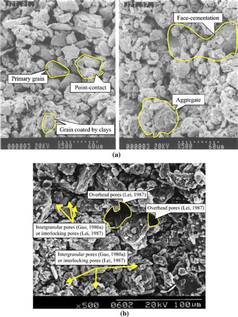 Typical Sem Photographs Of Loess Dijkstra Et Al 1994 A Contact