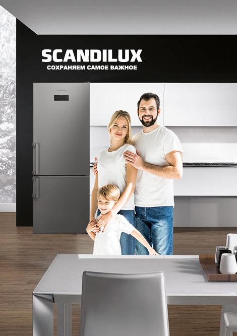SCANDILUX официальный магазин в России! Купить бытовую технику ...
