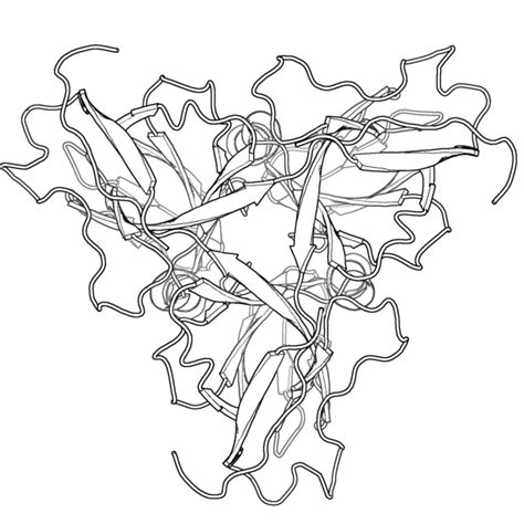Faster Image Creation In Pymol Shortcuts And Docker Biochemistry