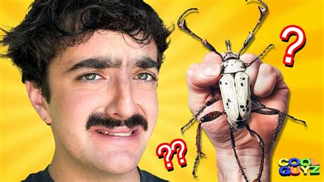 we ranked the weirdest bugs youtube