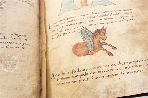 Metz Codex Facsimile Edition