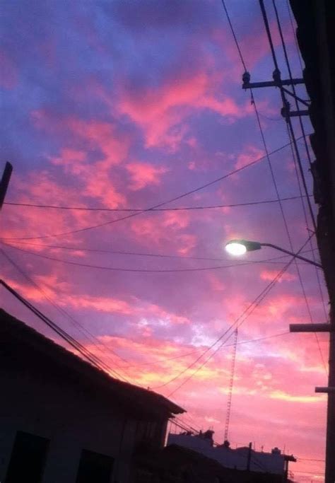 P I N K S K I E S 旅