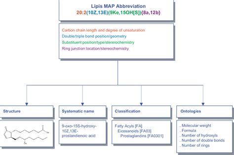 Figure 3 From Lipid Maps Online Tools For Lipid Research Semantic Scholar