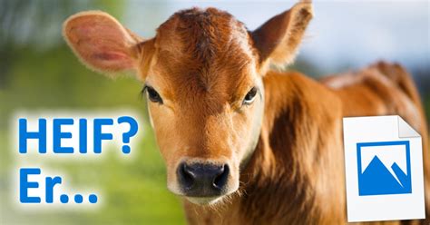 How To View HEIF And HEIC Image Files In Windows Scottie S Tech Info