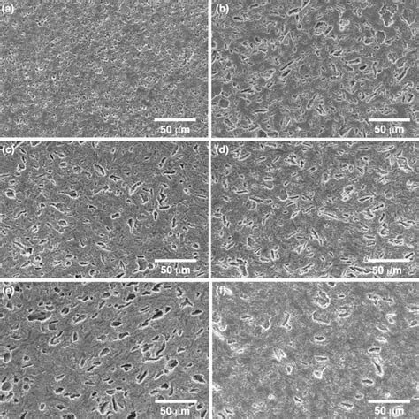 Sem Micrographs Of Polished Alumina And Porous Alumina Samples Sintered