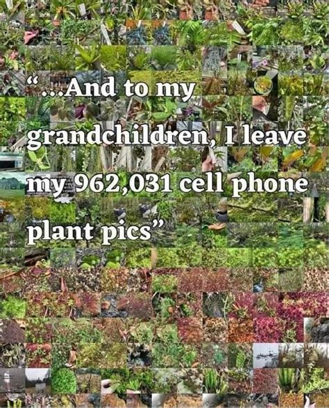 Ive Tried Explaining It R Lackofmoderation