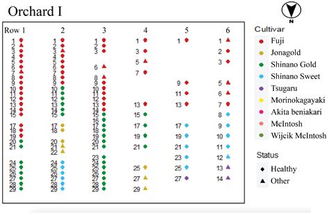Detection Of Apple Trees In Orchard Using Monocular Camera