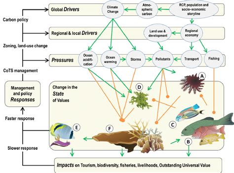 Simplified Conceptual Model Of Global Regional And Local Environmental
