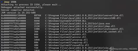 使用jdk命令 Jmap 生成堆快照java 打快照 Csdn博客