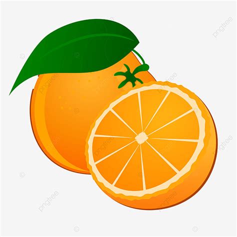 Orange Fruite Clipart Vector Orange Fruit Flat Design Vector Orange