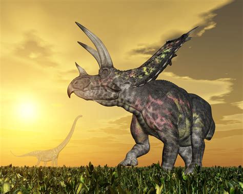 Cranio De Pentaceratopo