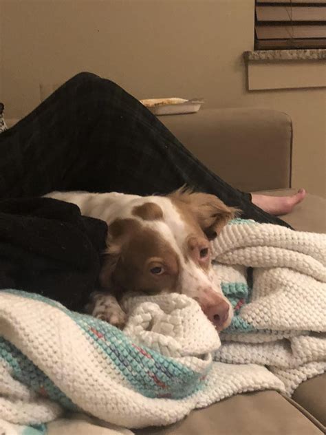 Guess Im A Couch Cousin Now R Thisismylifenow