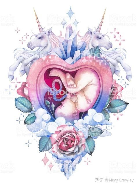 6个问题告诉你宫颈机能不全是咋回事 知乎