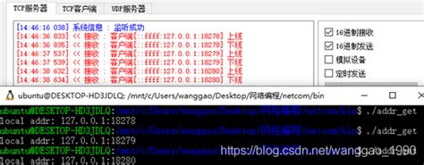 网络编程（9）获取socket地址信息获取socket信息 Csdn博客