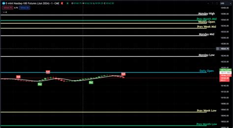 Daily Levels Indicator Princeton Trading Group
