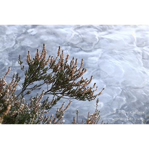 Seasons Separator Wallpaper Northern Art Photos