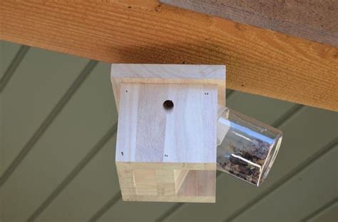 How To Get Rid Of Carpenter Bees 4 Easy Ways