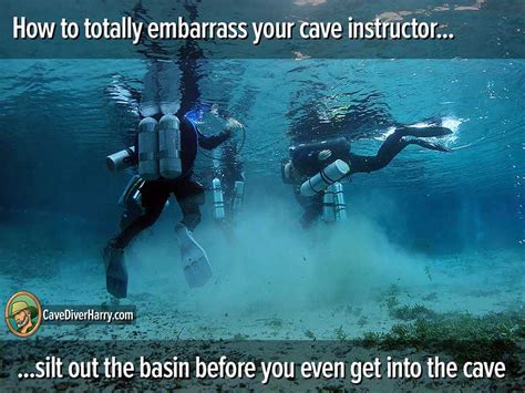 Diving Video Meme At Michael Dittmer Blog