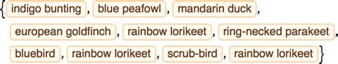 Importing And Exporting Elementary Introduction To The Wolfram Language