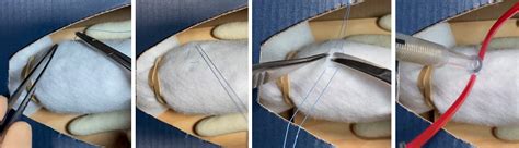 Cardiac Surgery Simulation Part 2 Cannulation Mmcts