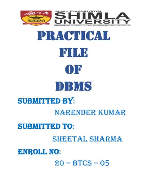 Practical Of Dbms Narender Kumar Pdf Sql Databases