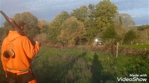 Chasse Aux Sangliers Youtube
