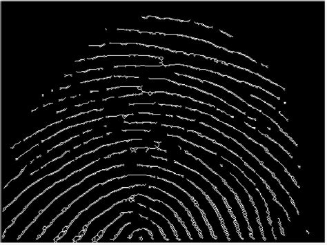 Matlab实现指纹去噪增强膨胀化指纹图像有什么效果 Csdn博客
