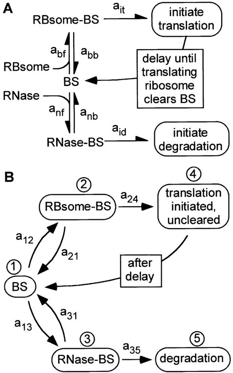 Reaction Model A And Binding State Model B Characterizing Download Scientific Diagram