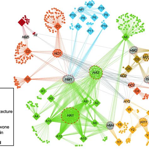 Phenotype Gene Associationinteraction Network For Six Trait Categories