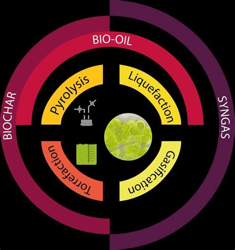 Different Thermochemical Conversion Methods Of Microalgal Biomass And