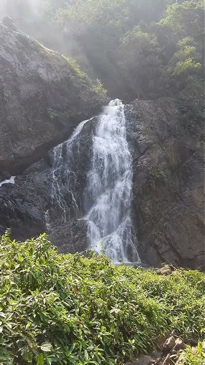 Dangari Waterfall Youtube