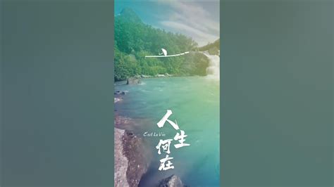 人生何在 看过的才叫书，走过的才叫路。shortvideo 人生人生何在情感情感语录情感音乐 情感 乐在其中