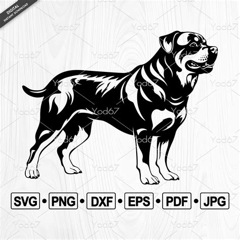 Rottweiler Svg Rottweiler Png Svg Files For Cricut Rottweiler