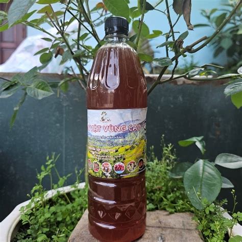 Mật Ong Khoái Rừng Chai 1000ml Công Ty Tnhh Sản Vật Vùng Cao Và đào