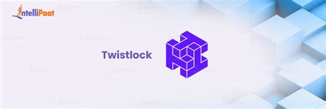 10 Best Container Security Tools For 2025 Intellipaat