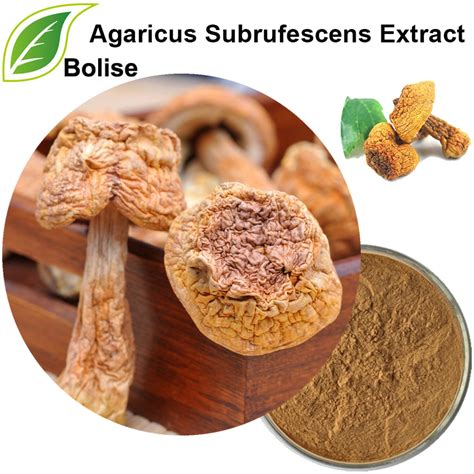 Agaricus Subrufescens Extract Ergosterol β Glucans Suppliers