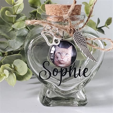Pet Hair Keepsake Jar Pet Memorial Vial For Fur Dog Hair Keepsake