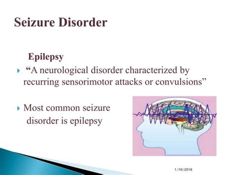 Learners Who Are Exceptional Pptx Brain And Nervous System