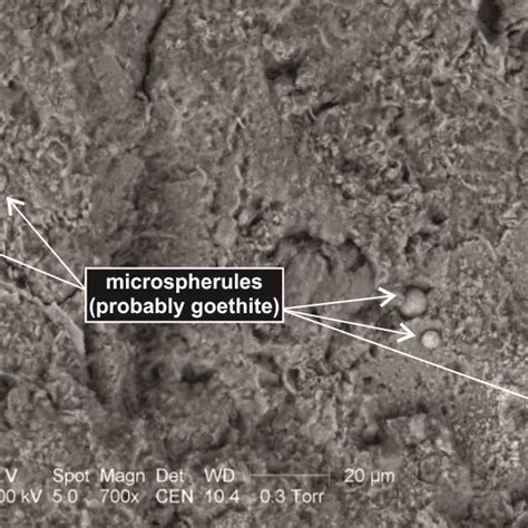 Sem Micrographs Of Fe Oxide Probably Hematite And Smectite Phase Download Scientific Diagram