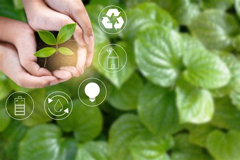 Real Life Examples Of Decarbonization Inspiring Sustainability Solutions