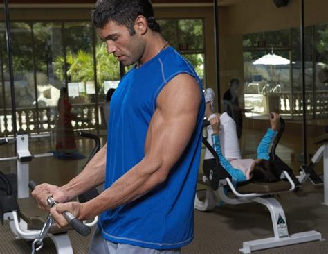 Forearm Extensor Exercises Biceps Workout Biceps