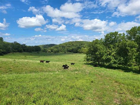 Marshall Searcy County AR Farms And Ranches Lakefront Property Waterfront Property For Sale