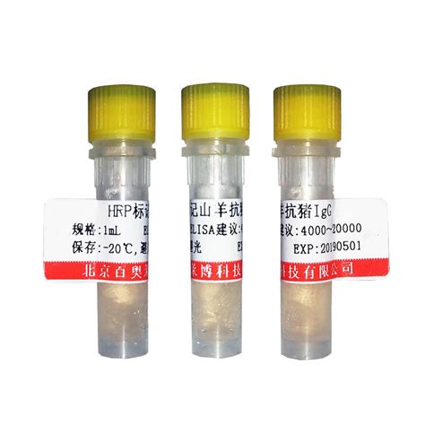 钠 氢交换样结构域蛋白1抗体 一抗价格 详情介绍 960化工网 960化工网