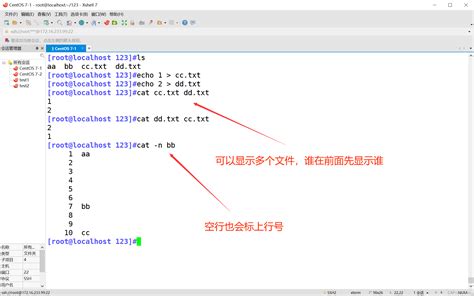 Linux Vi Csdn